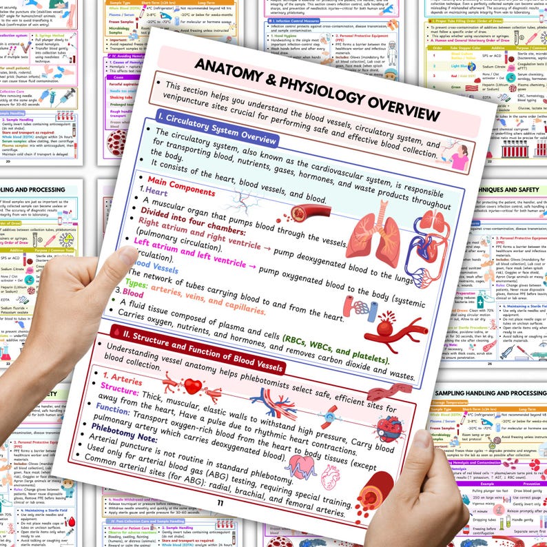 Phlebotomy Study Guide PDF | Blood Draw & Nursing Study Aid | Lab ...