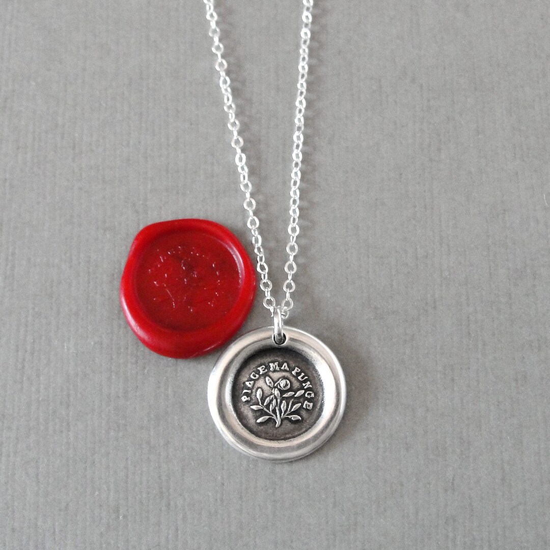Pleasing but Stings - Wax Seal Necklace With Rose - Antique Silver ...