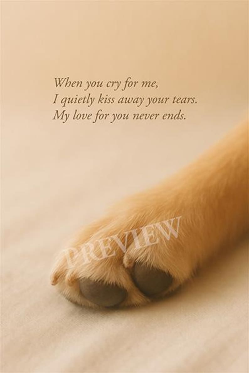 Printable Pet Loss Sympathy Cards, Set of 5 Dog Memorial Cards, Instant ...