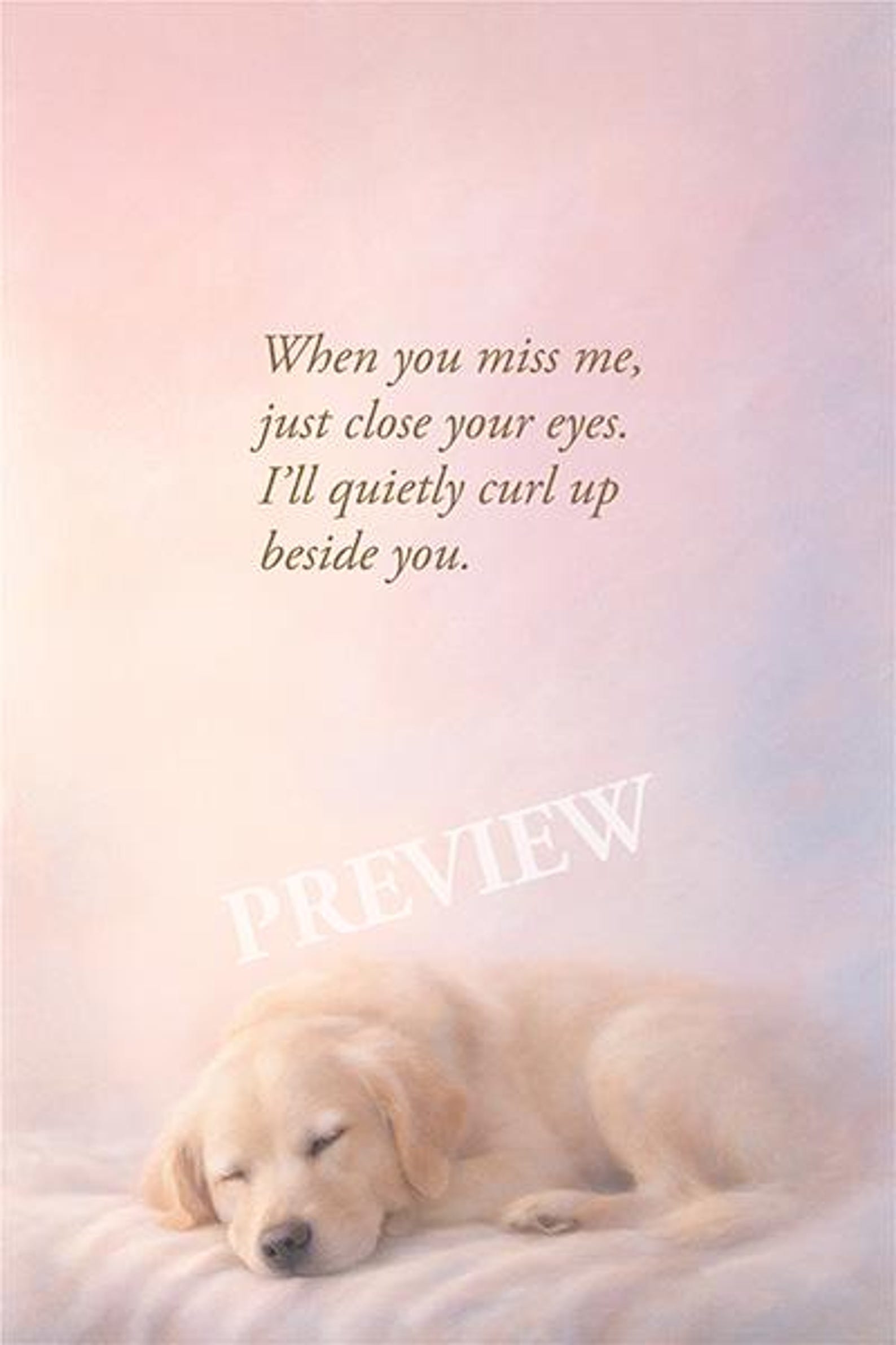 Printable Pet Loss Sympathy Cards, Set of 5 Dog Memorial Cards, Instant ...