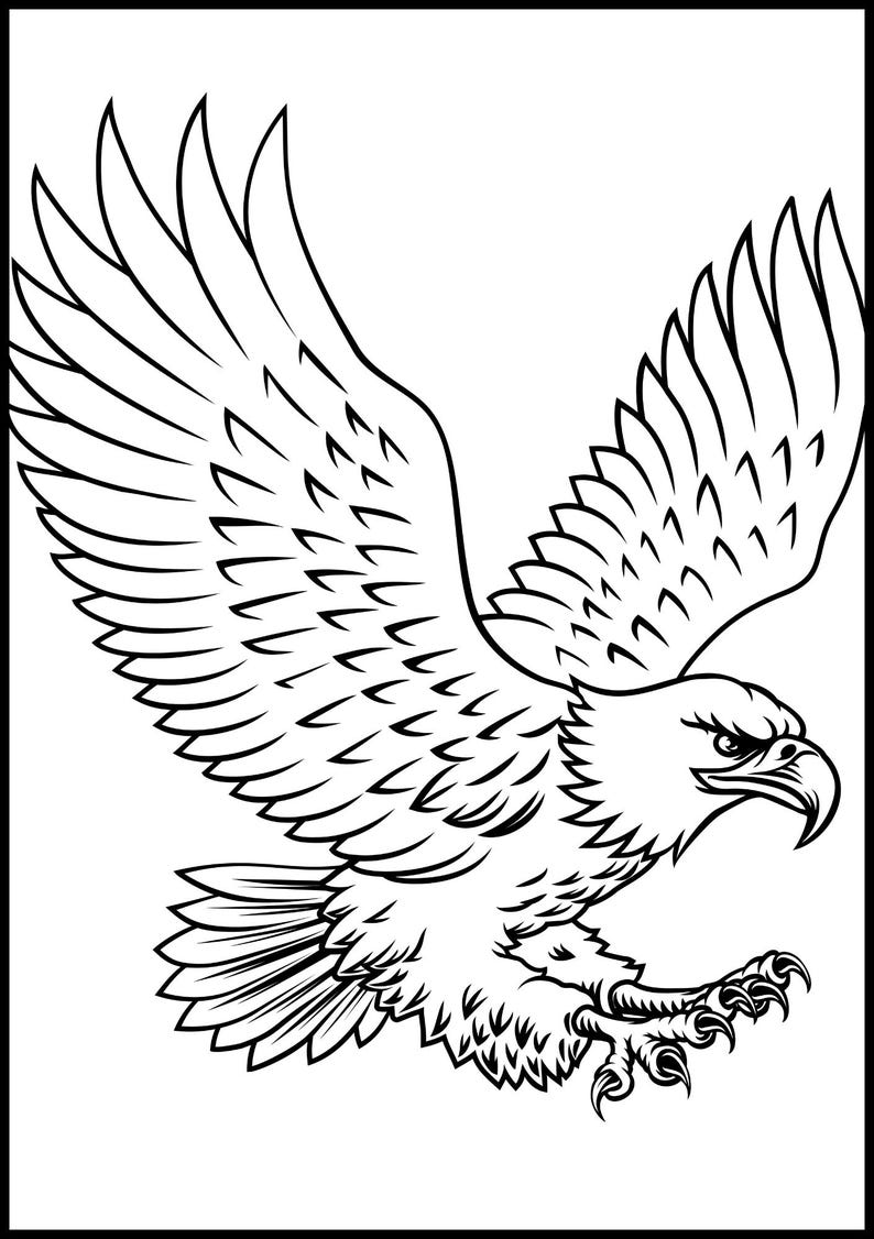 Majestic Eagles Coloring Book | Bold Nature Pages for Kids Adults ...