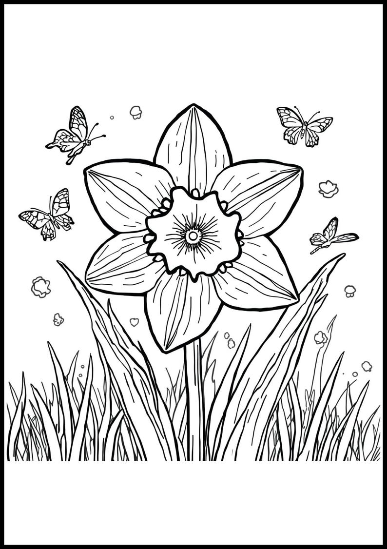 Daffodil Flower Coloring Book for Adults, Teens | Spring Floral Pages ...