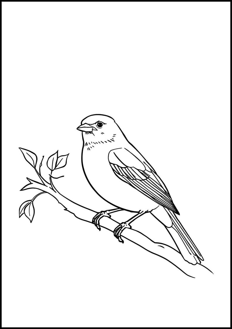 Lark Bird Serenity Coloring Book | 30 Detailed Nature Pages (digital ...
