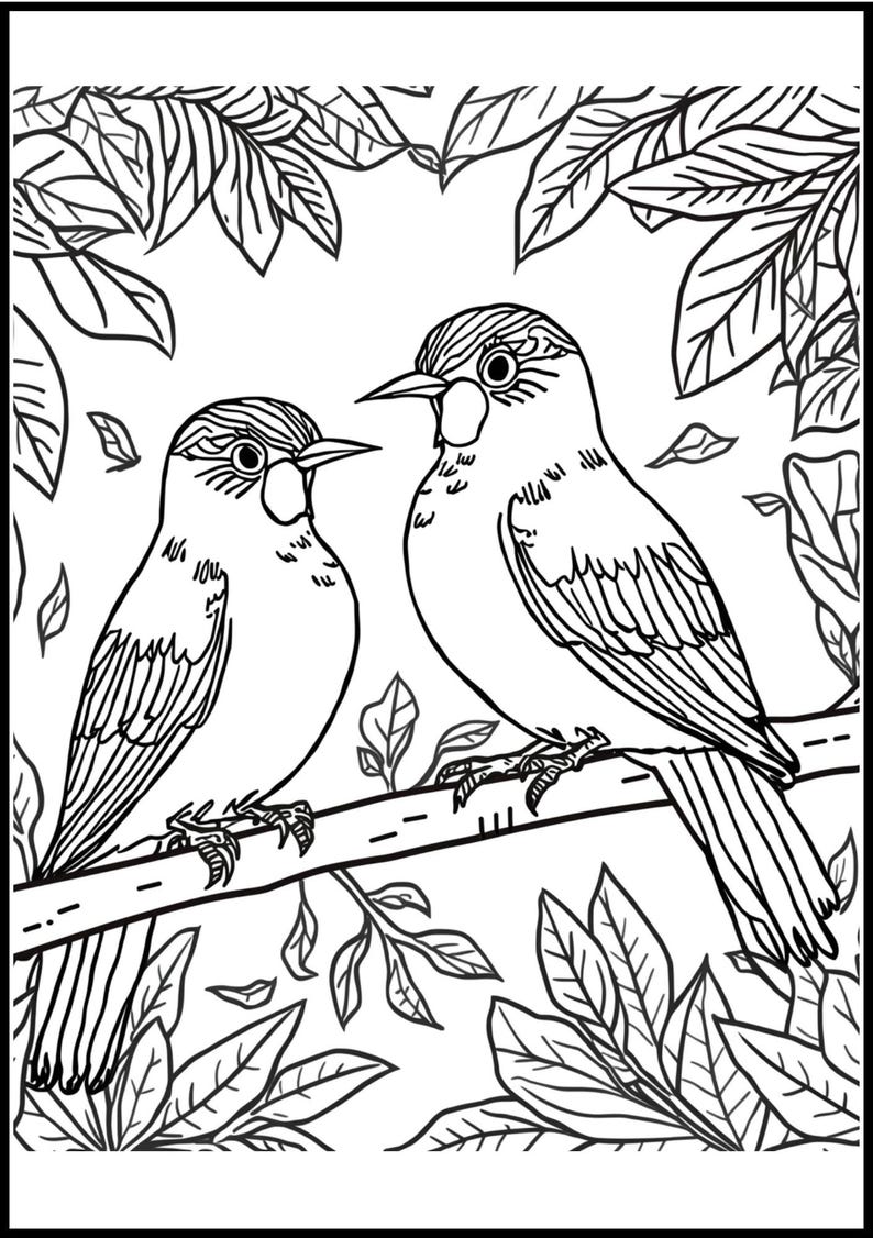 Funny Birds Coloring Book | 30 Detailed Nature Pages (PDF Download) - Etsy