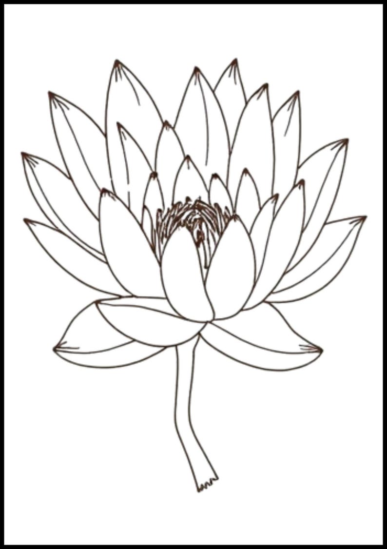 Water Lily Coloring Book | Zen Garden Floral Designs (PDF Download) - Etsy