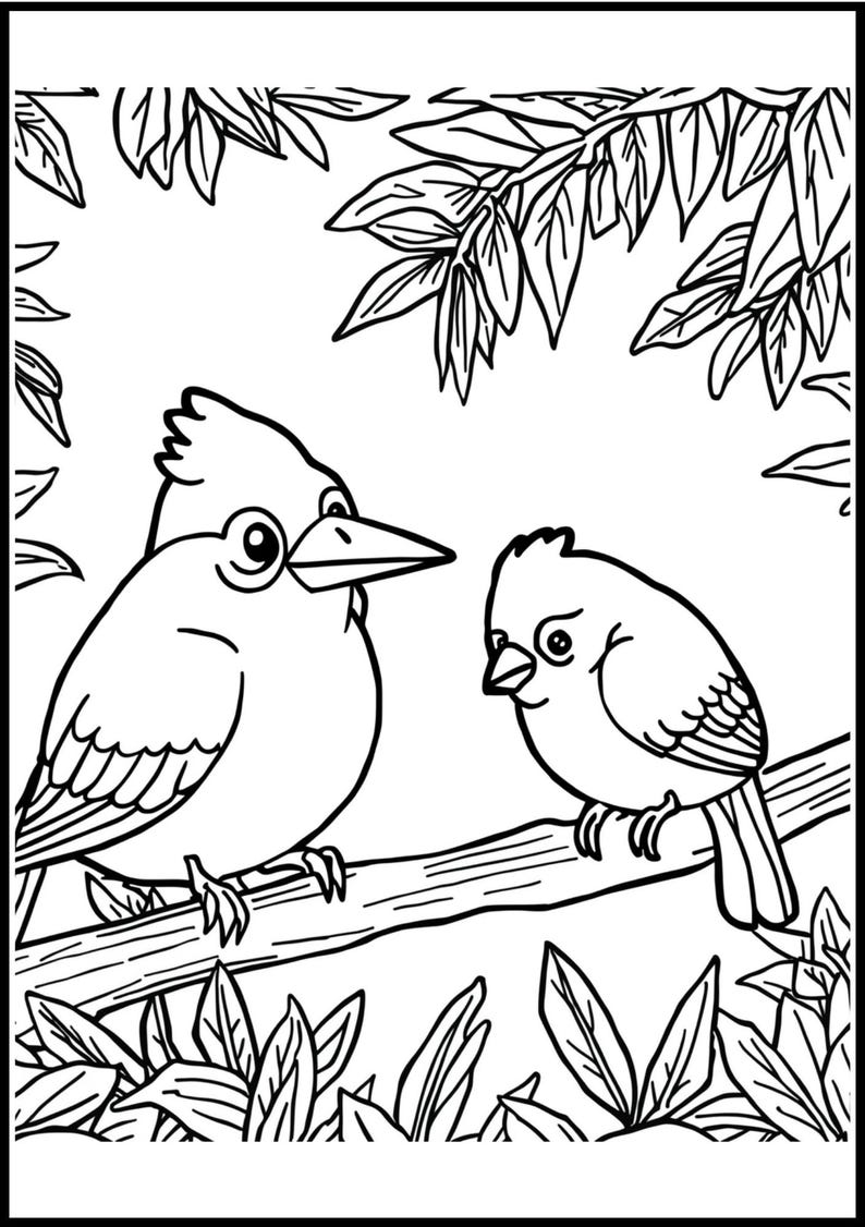 Funny Birds Coloring Book | 30 Detailed Nature Pages (PDF Download) - Etsy