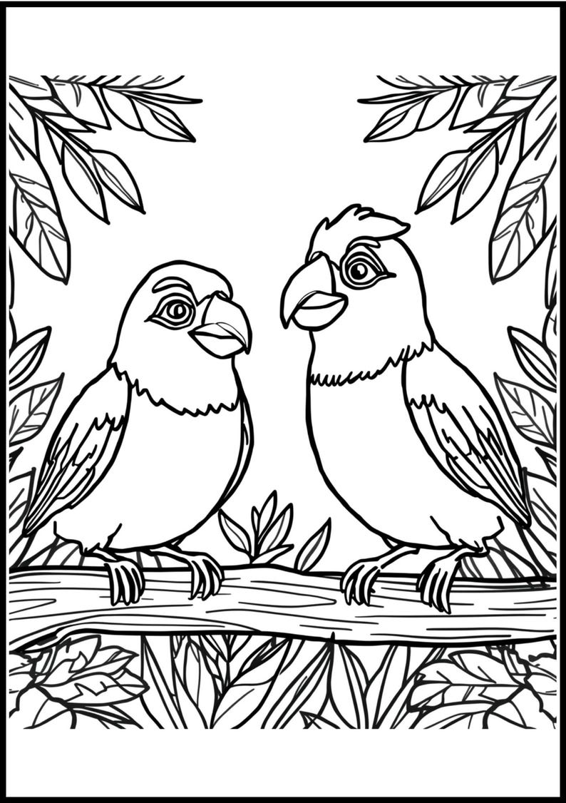 Funny Birds Coloring Book | 30 Detailed Nature Pages (PDF Download) - Etsy