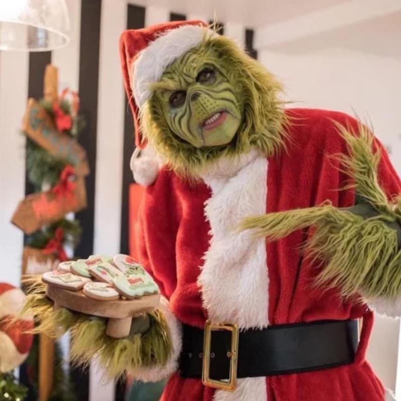 Grinch Adult Costume Full Set - Etsy Australia