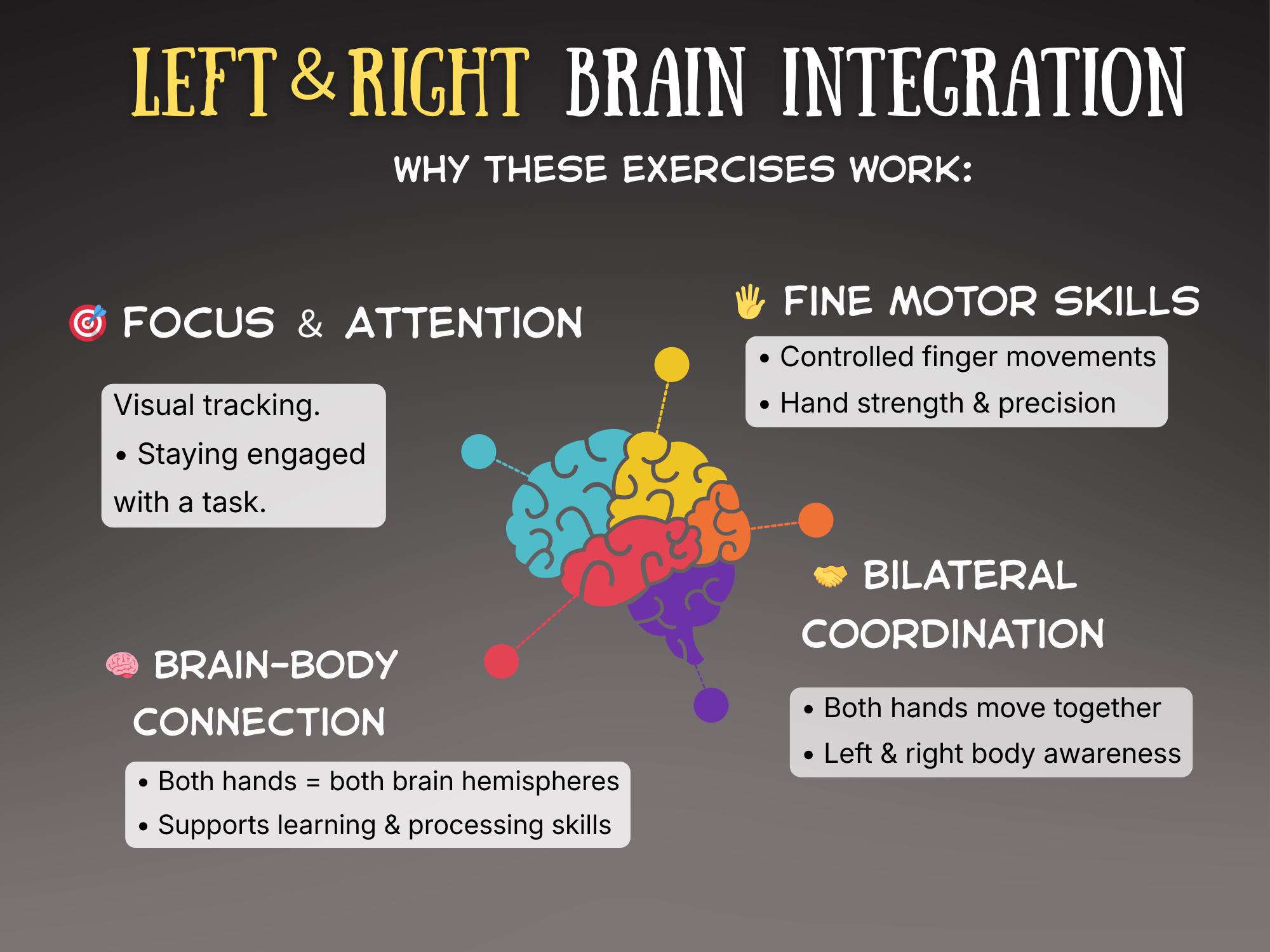 Bilateral Brain Exercises for Focus & Coordination | Fine Motor ...