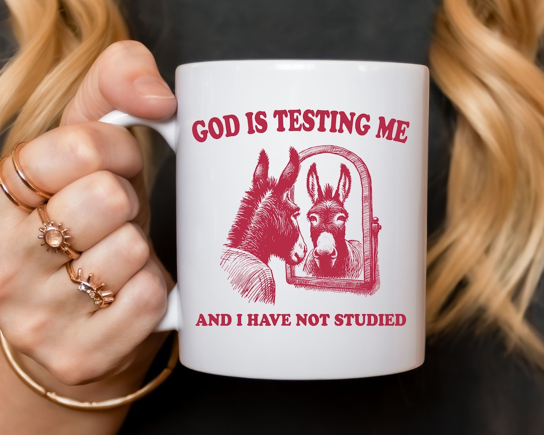 God is Testing Me and I Have Not Studied Donkey Mug, Funny Donkey, Bad ...