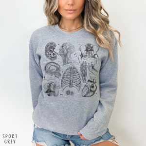 Human Anatomy Sweatshirt, Gift for Nursing Students, Anatomical Shirt ...
