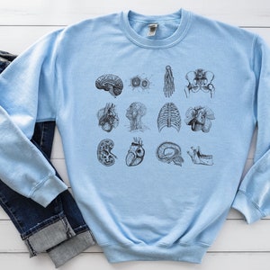 Human Anatomy Sweatshirt, Gift for Nursing Students, Vintage Anatomical ...