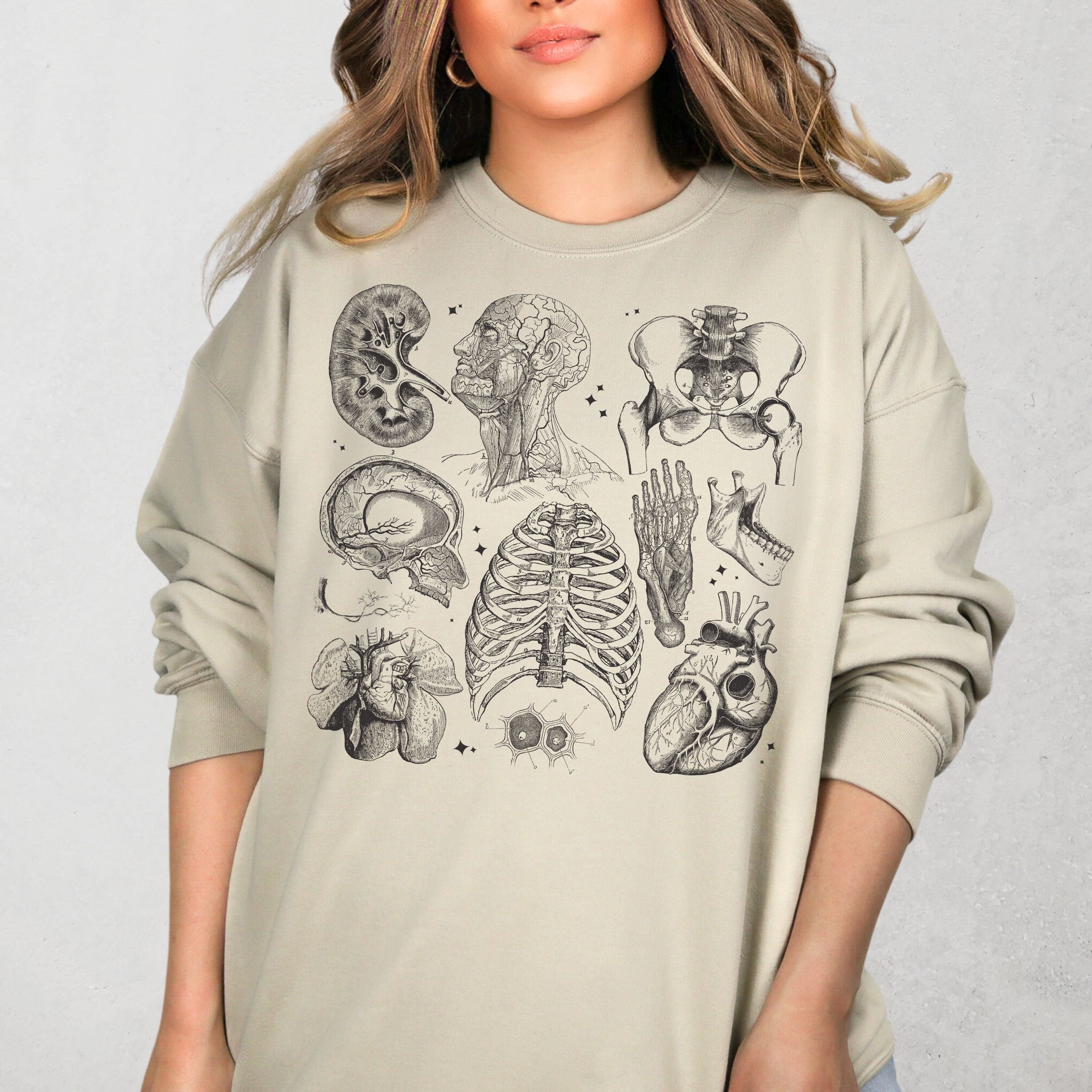 Human Anatomy Sweatshirt, Gift for Nursing Students, Anatomical Shirt ...