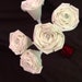 White Cotton Roses With Stems Cotton Anniversary White - Etsy