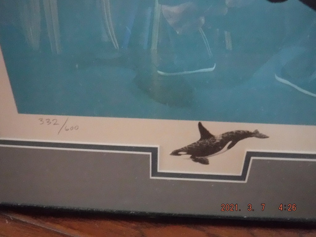 Orcinus Orca Don Mcmichael Limited Edition Offset Litho Small ...