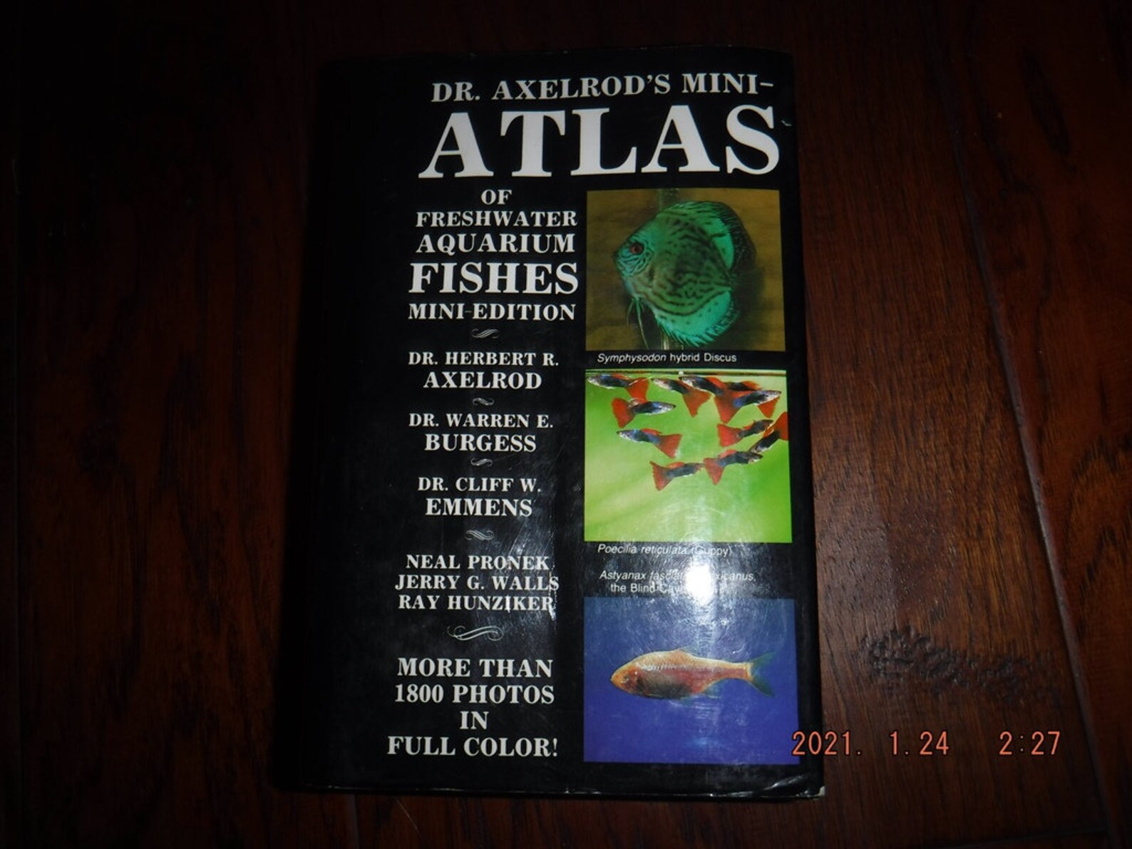 Dr. Axelrod's Atlas of Freshwater Aquarium Fishes 1987 Mini Edition T ...