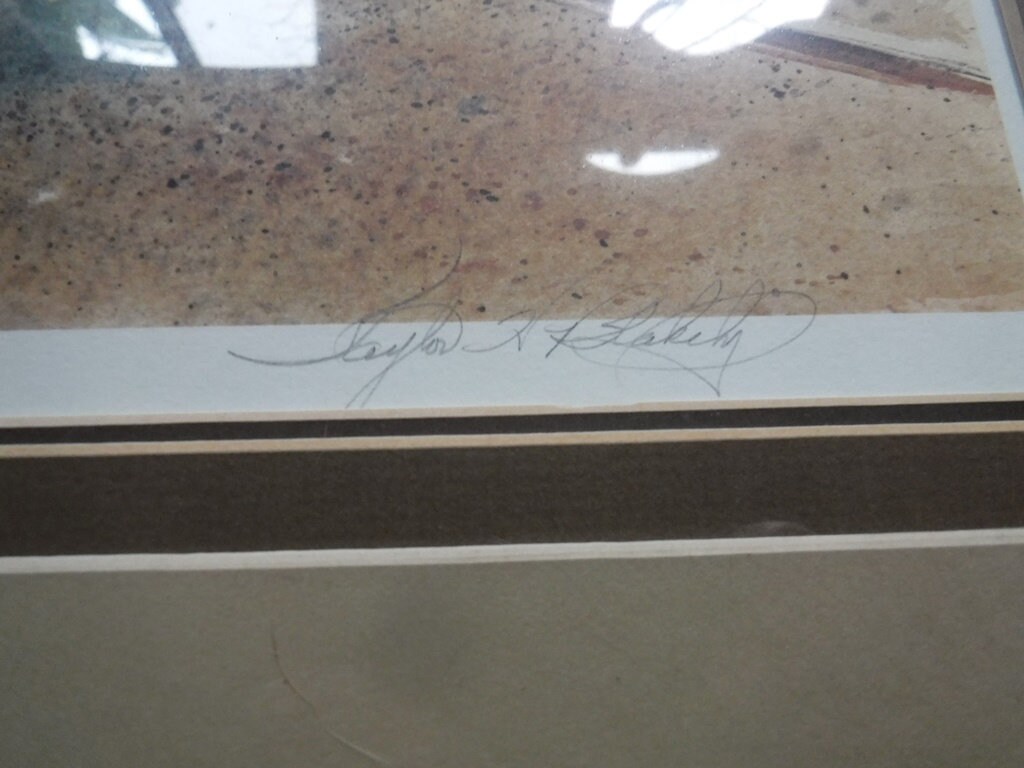 Taylor Blakely northbound Train Authenticated - Etsy