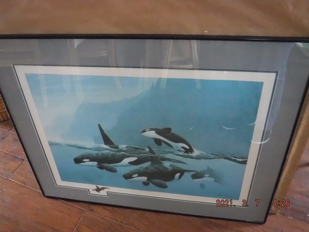 Orcinus Orca Don Mcmichael Limited Edition Offset Litho Small ...