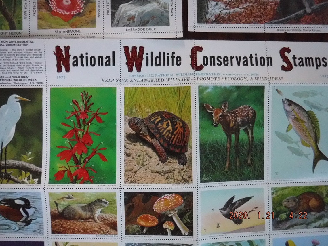 Wildlife Conservation Stamps 12 Sheets 36 Stamps Each and More ...