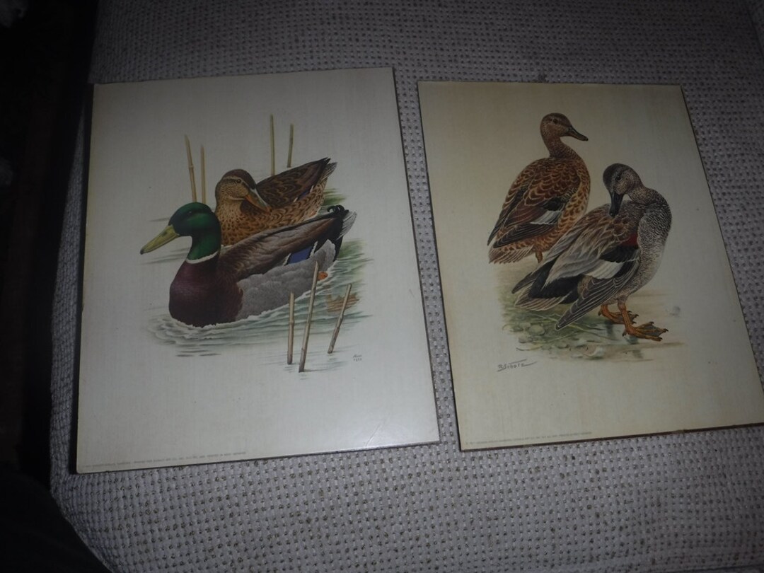 Duck Prints Murr and R. Schotz Donald Art Co. 1971 Kronenverlag Hamburg ...