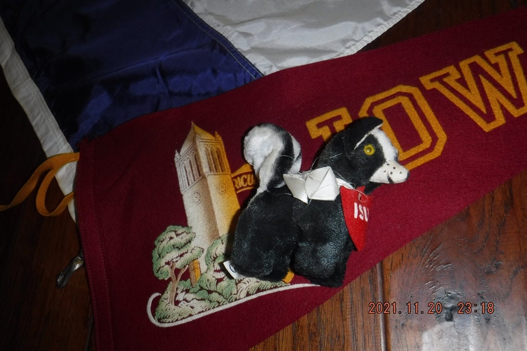 Iowa State Pennant and Iowa Flag Both Vintage & ISU Personality Vtg ...