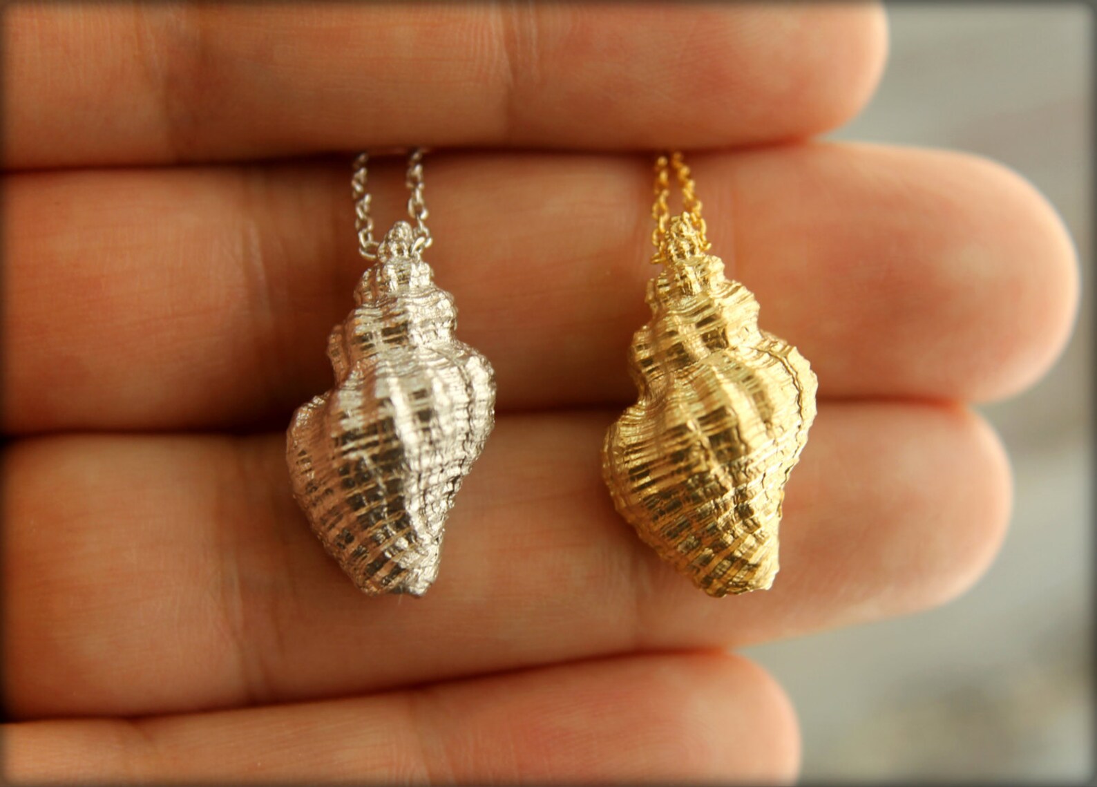 Conch Shell Necklace Available in Silver or Gold | Etsy