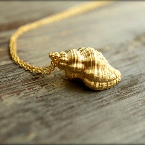 Conch Shell Necklace, Available in Silver or Gold - Etsy
