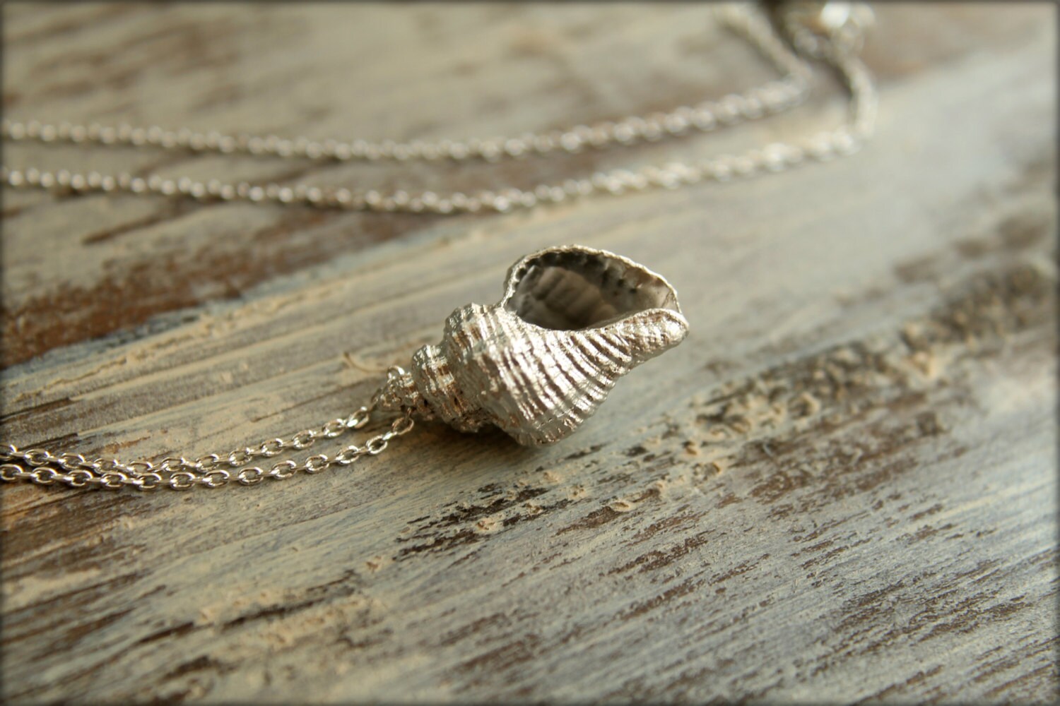 Conch Shell Necklace Available in Silver or Gold - Etsy