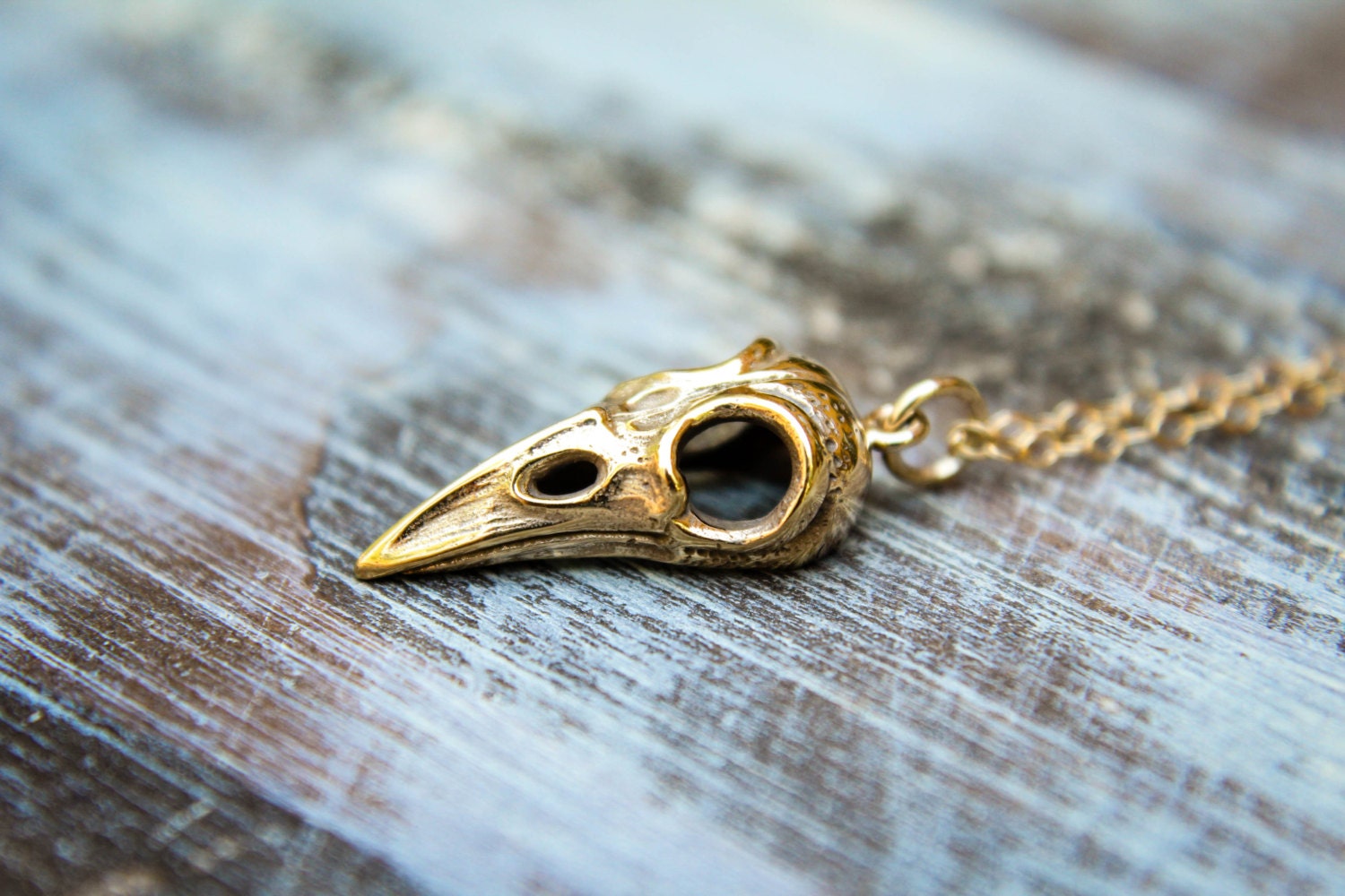 Bird Skull Necklace Available in Silver and Bronze | Etsy