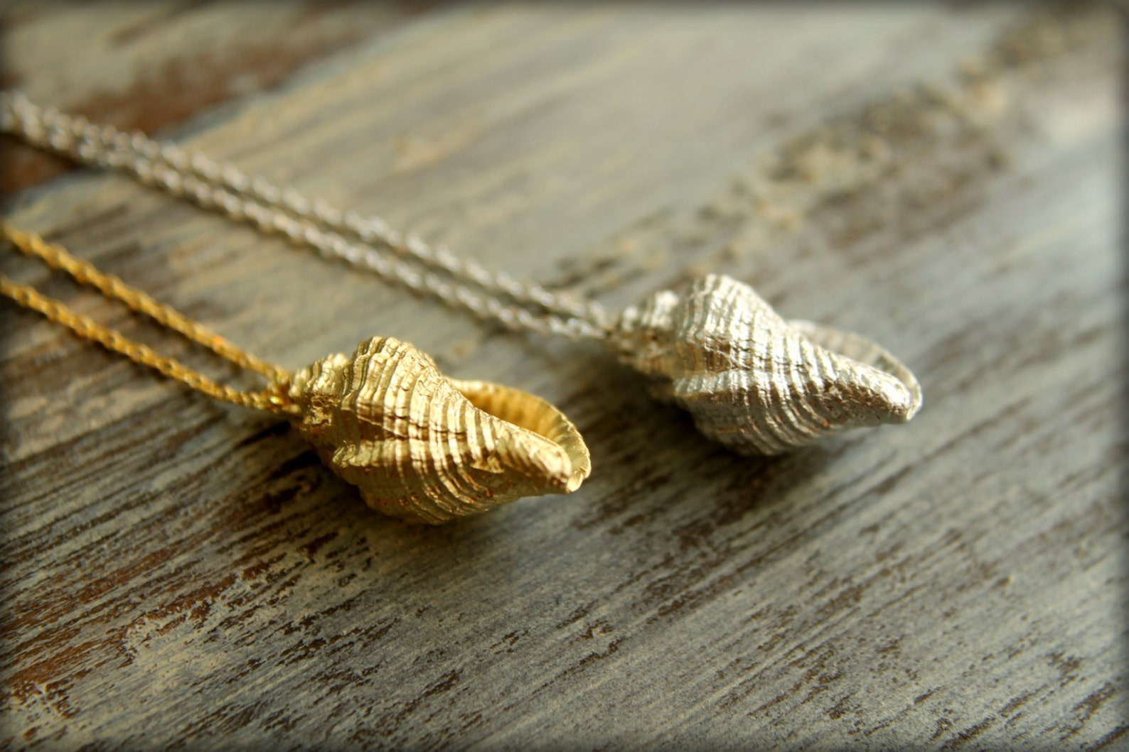 Conch Shell Necklace Available in Silver or Gold | Etsy