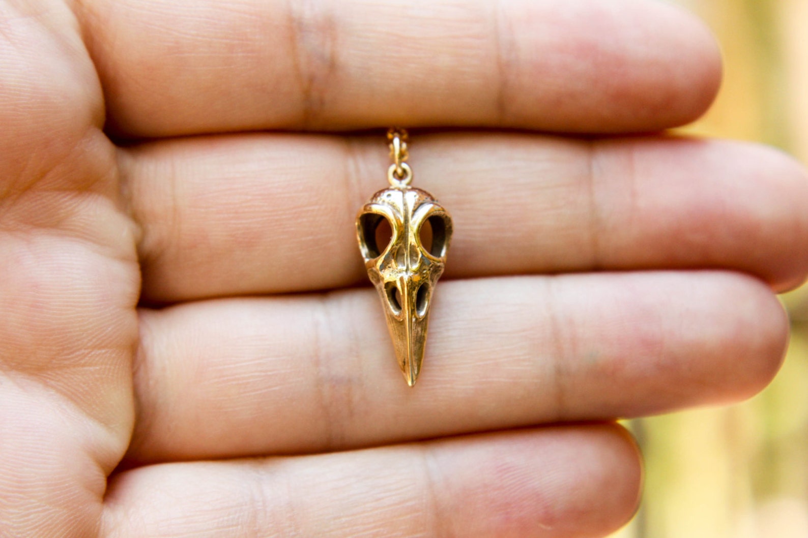 Bird Skull Necklace Available in Silver and Bronze | Etsy