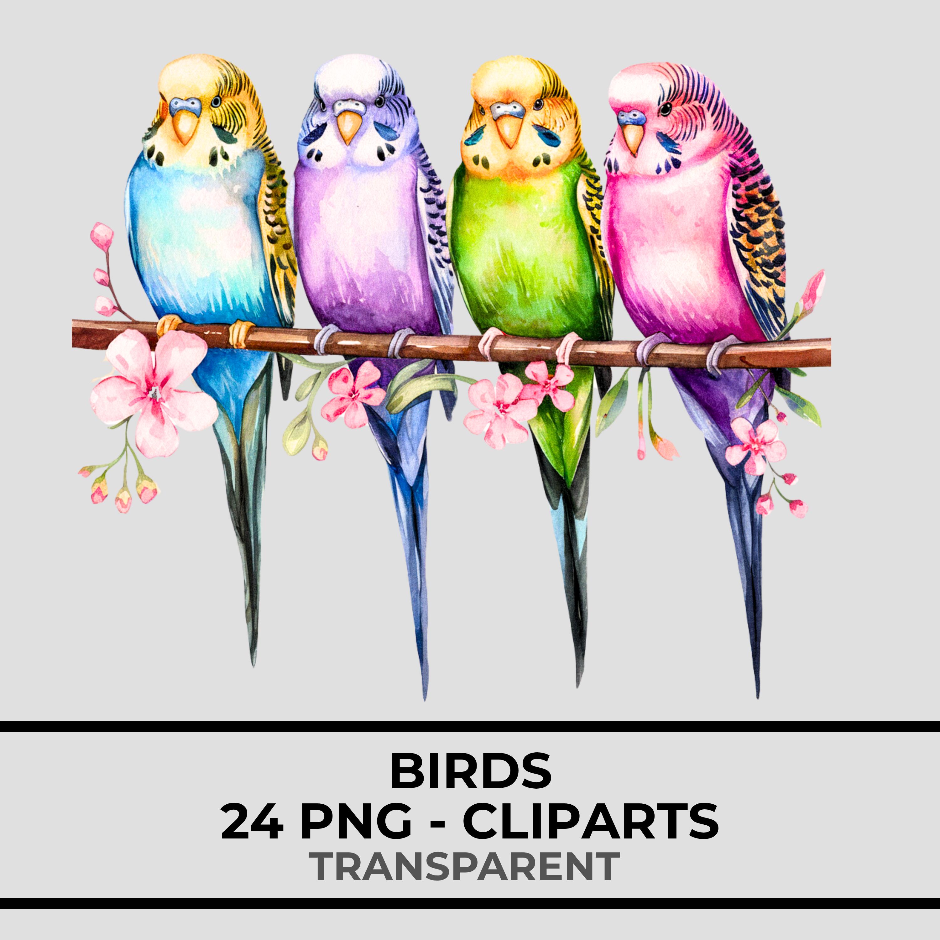 18 Bird Clipart Watercolor, Colorful Spring Birds on Branch, Cute Bird ...