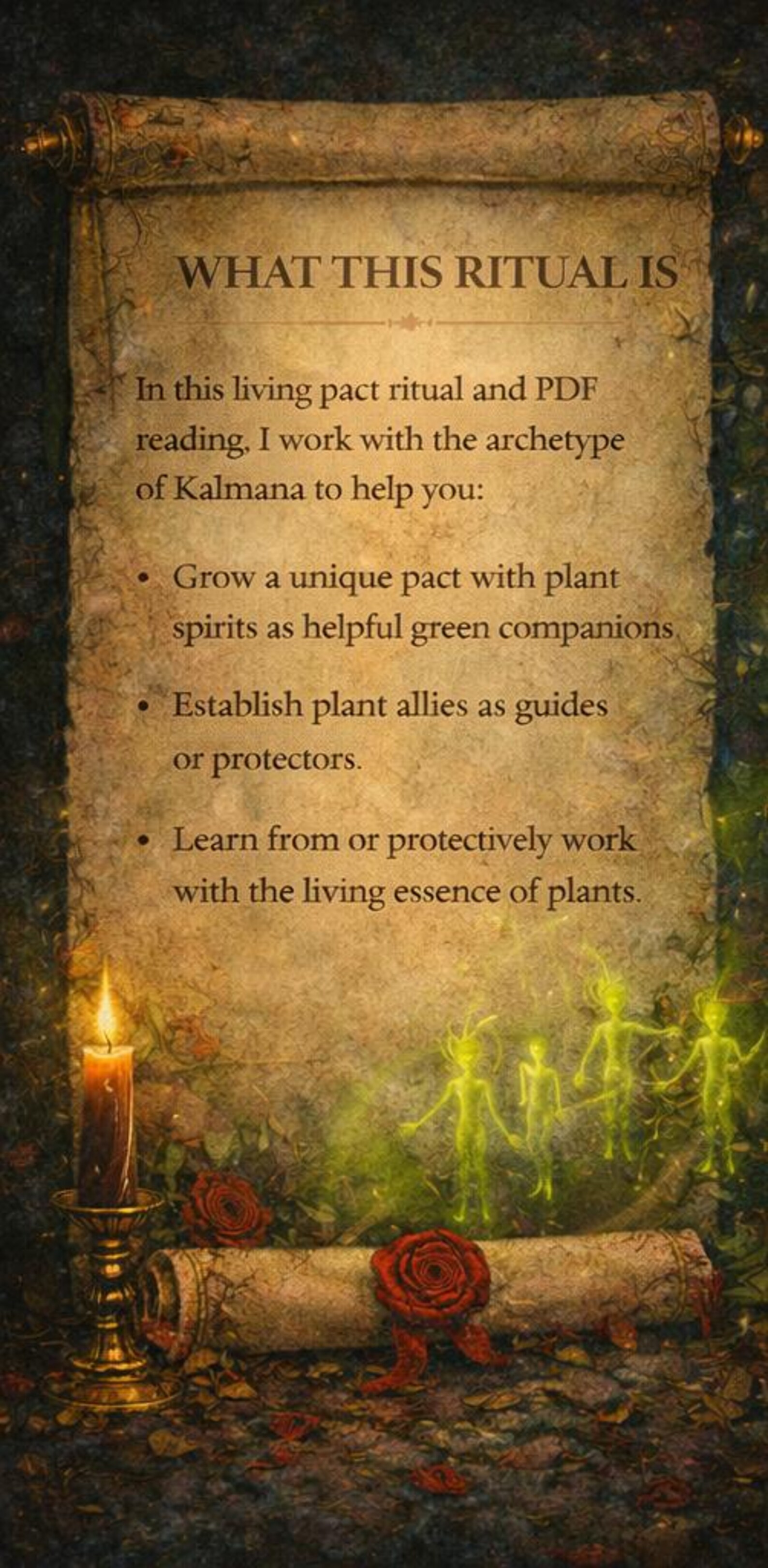 Pacto Qalmana - Ritual dos Espíritos Companheiros das Plantas ...