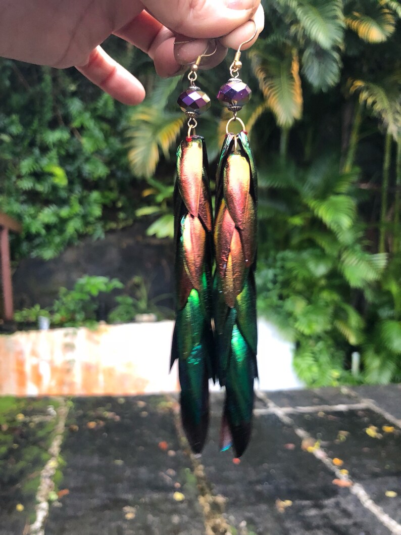 Rainbow Elytra Jewel Beetle Wing Earrings - Etsy