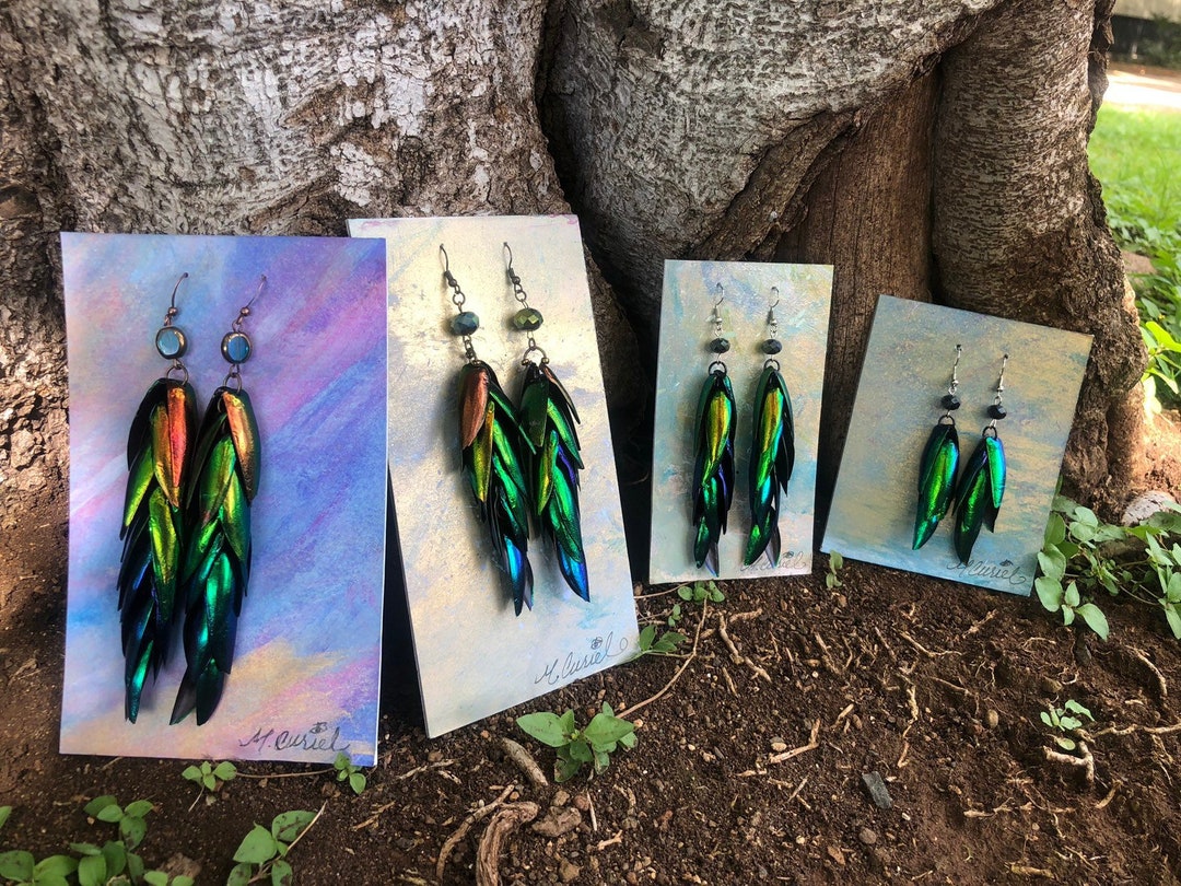 Rainbow Elytra Jewel Beetle Wing Earrings - Etsy