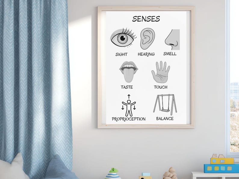 Sensory Poster for Kids | 7 Senses Chart | Visual Sensory System ...