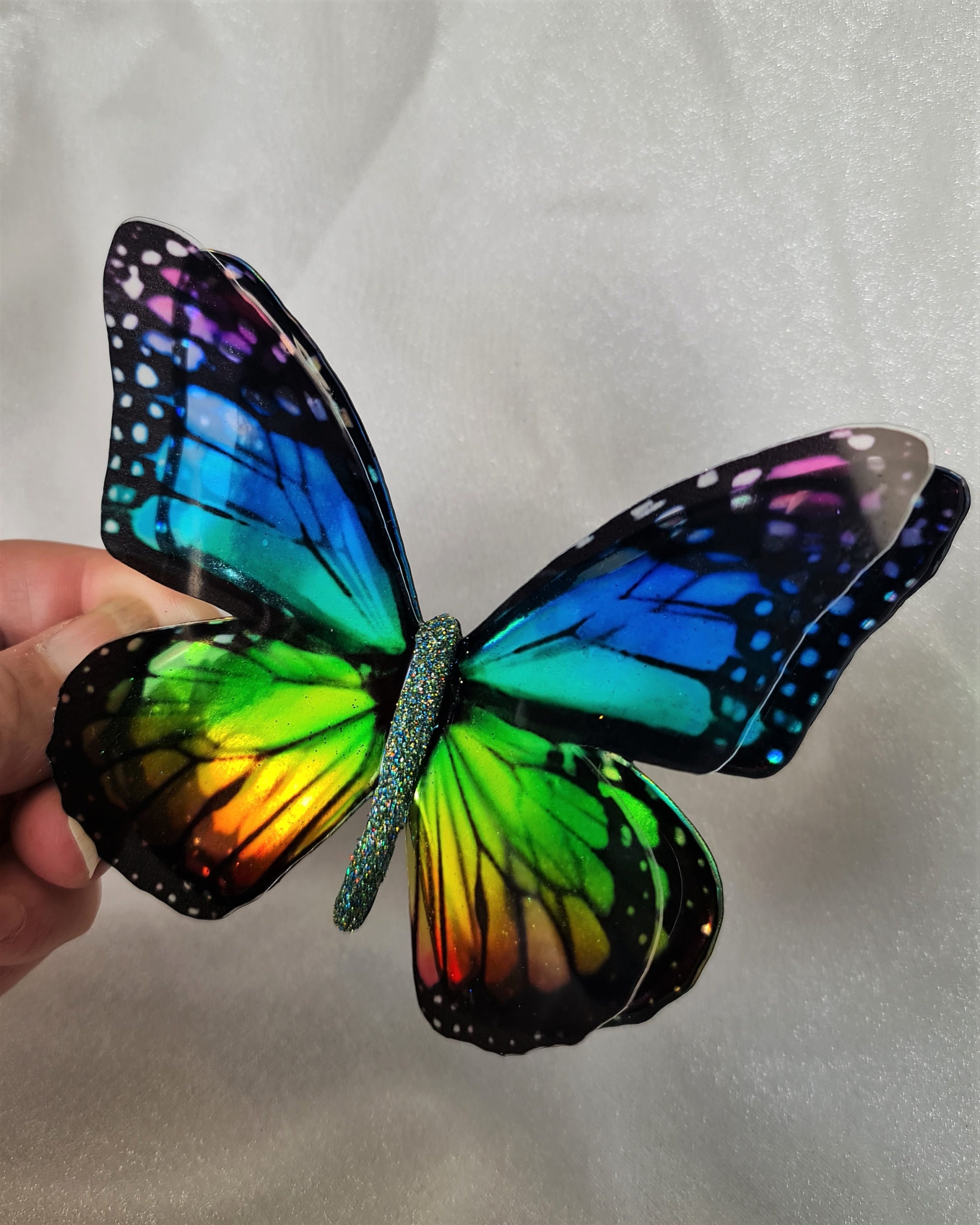 Real Rainbow Butterfly