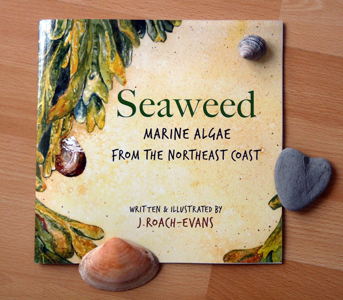 Signed Book of Seaweed: Marine Algae From the Northeast Coast - Etsy