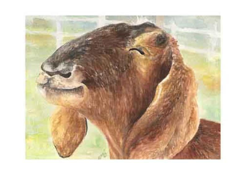 Goat Card Printed From Original Watercolor With Border - Etsy