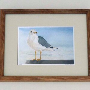 Ring-billed Gull Print - Beach Decor - Etsy