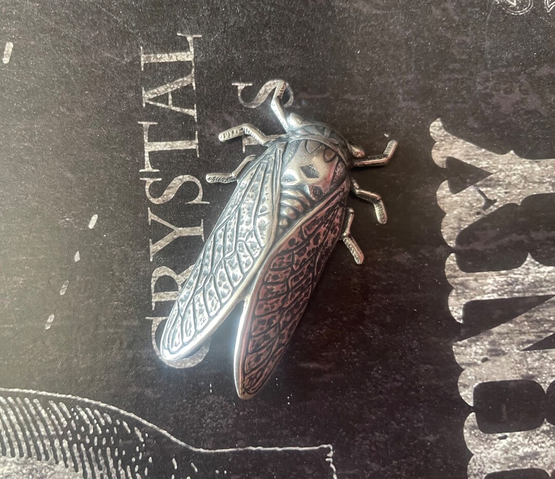 Brass Cicada, Sterling Silver Finish, Made in the USA - Etsy