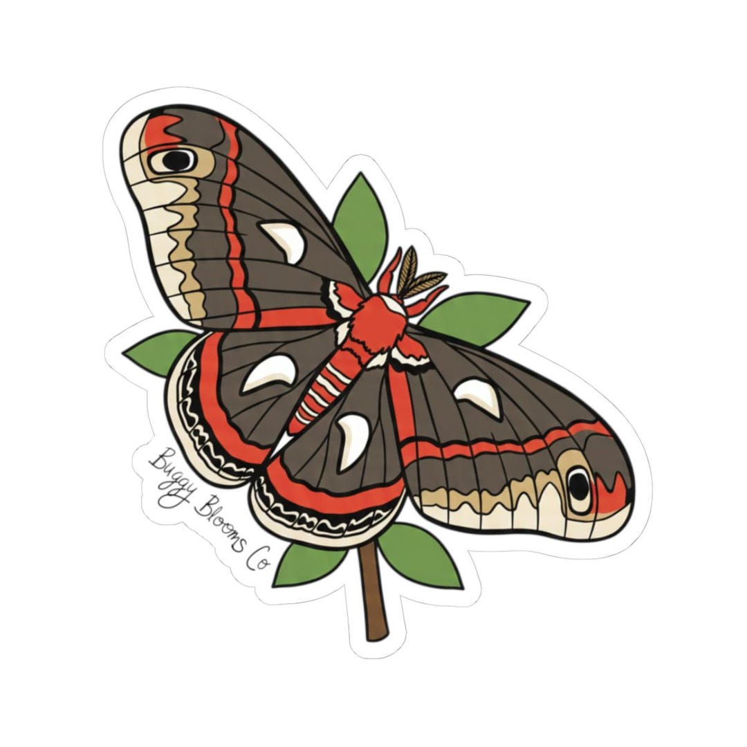 Cecropi Moth Sticker | Kiss-cut Vinyl Butterfly Moth Decal - Etsy