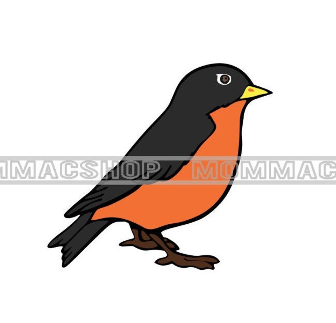 Robin SVG and JPEG Instant Download Digital Download File Cuttable ...