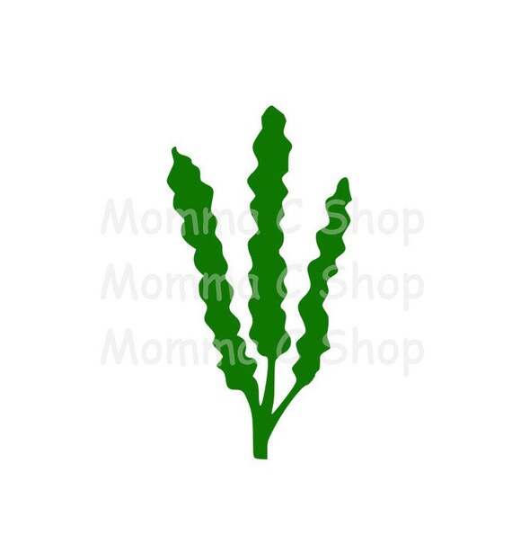 Algues SVG JPEG One Color Instant SVG Bundle Digital Download - Etsy France