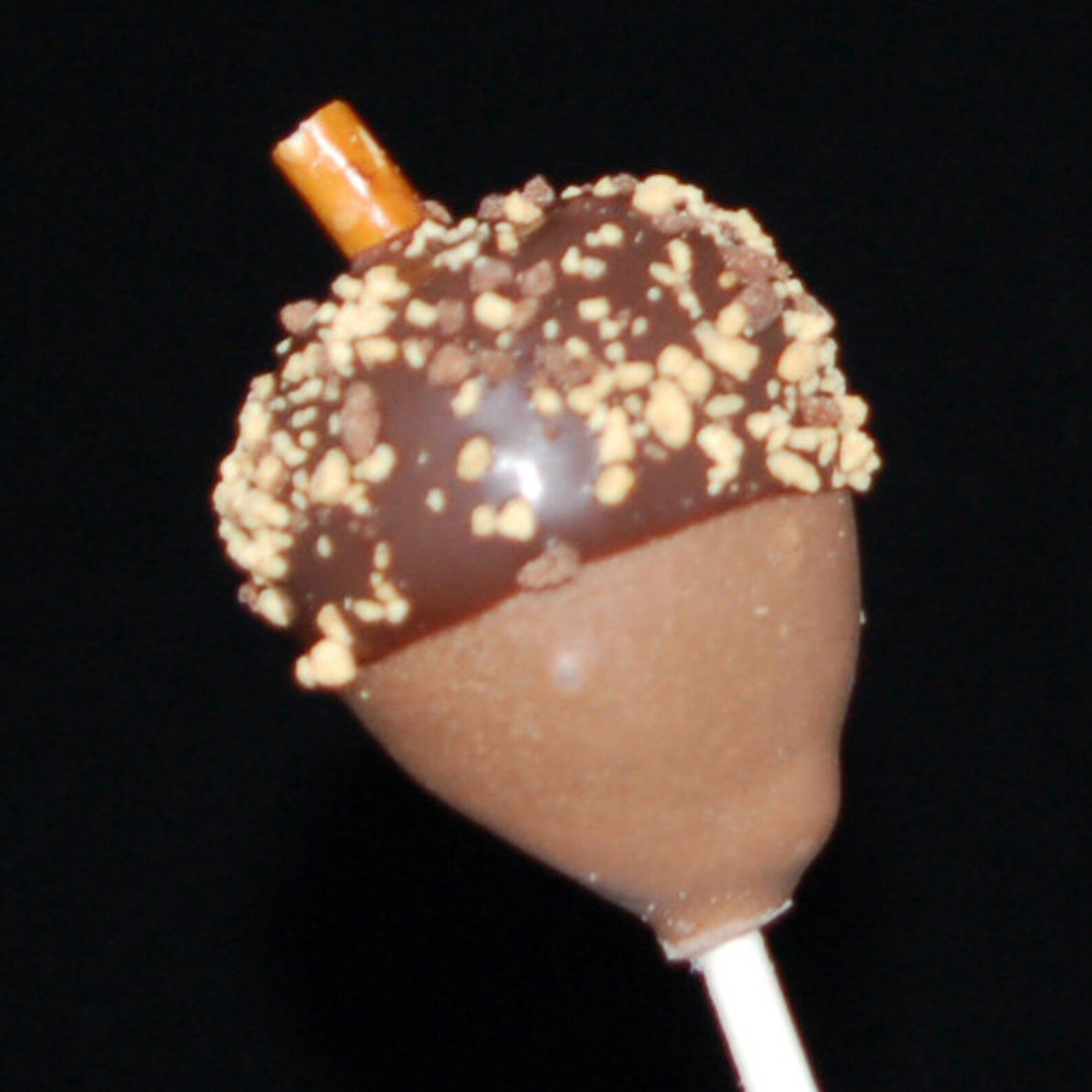 ACORN Cake Pops THANKSGIVING Themed Cake Pops - Etsy