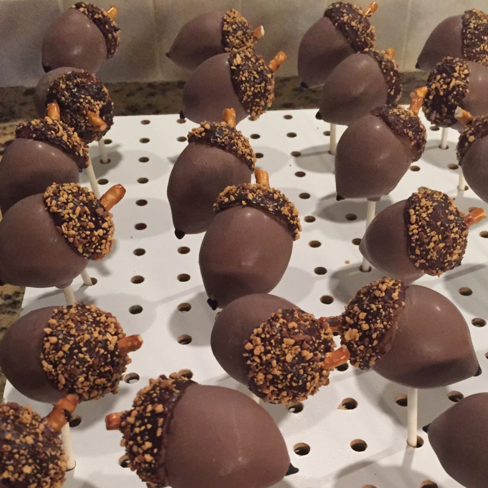 ACORN Cake Pops, THANKSGIVING Themed Cake Pops - Etsy