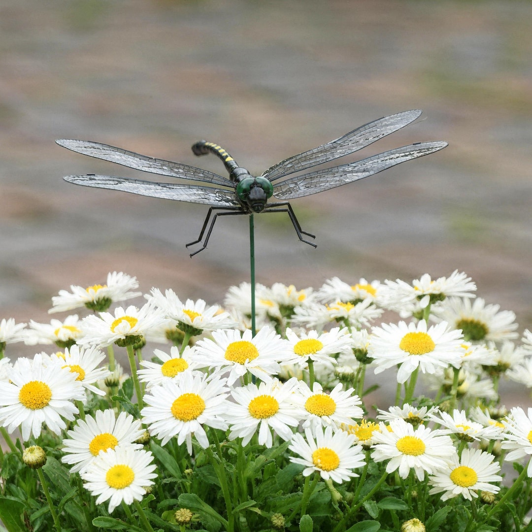 Dragonfly Garden Stakes Mosquito Repellent Decor, Realistic Dragonfly ...