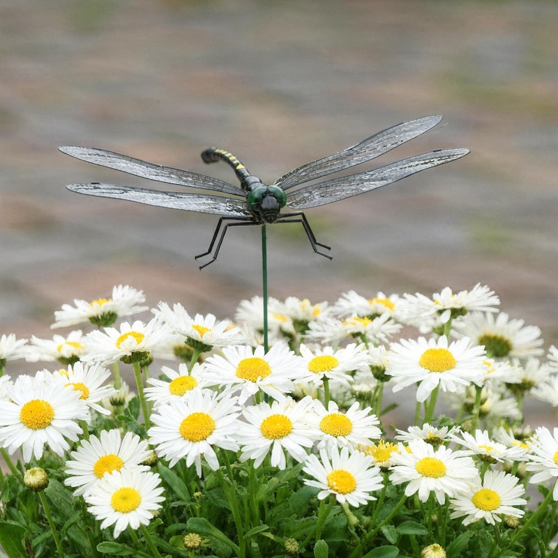 Dragonfly Bug Repellent - Etsy