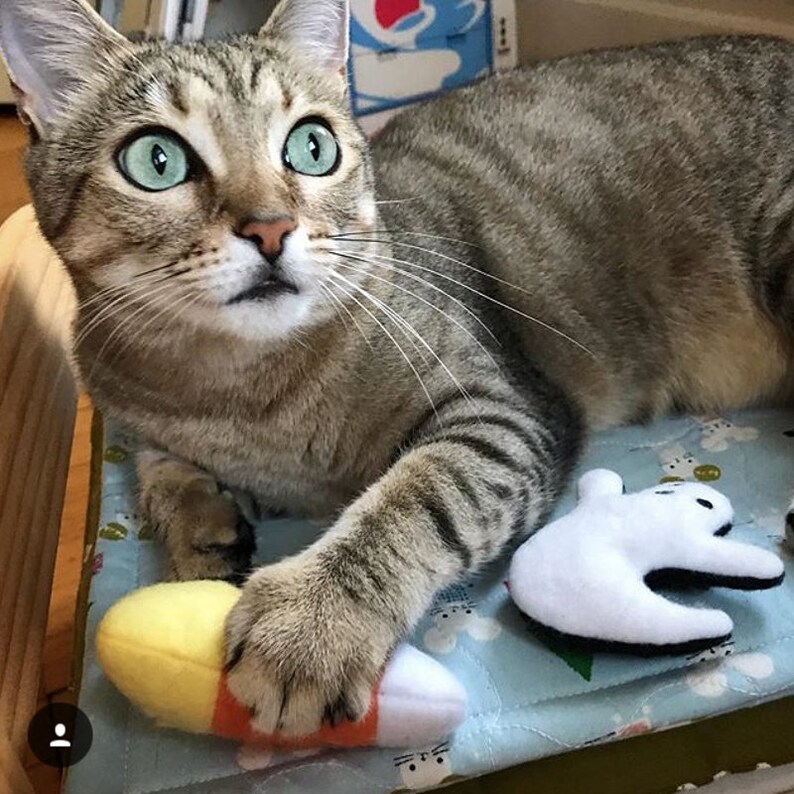 Candy Corn Organic Catnip Cat Toy | Etsy