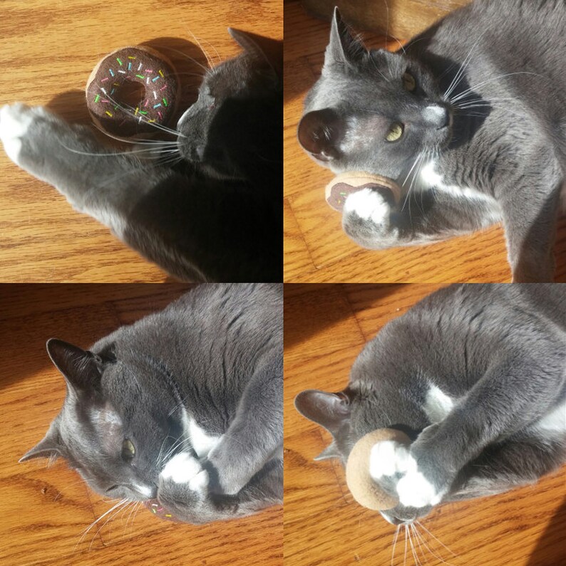 Chocolate Frosted Donut With Sprinkles Organic Catnip Cat Toy | Etsy